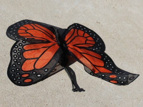 Finger Puppet - Monarch Butterfly - Campbells Online Store
