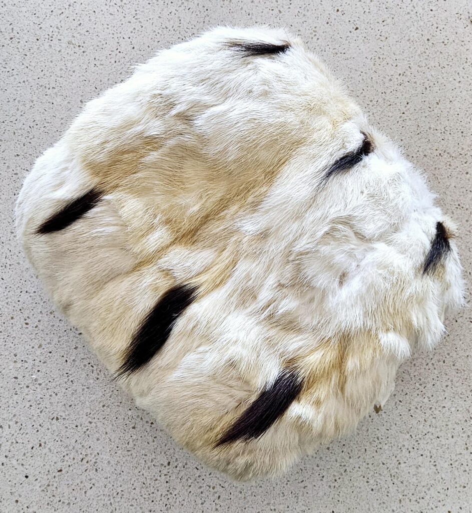 Ermine Hand Warmer with Cream Lining - Campbells Online Store
