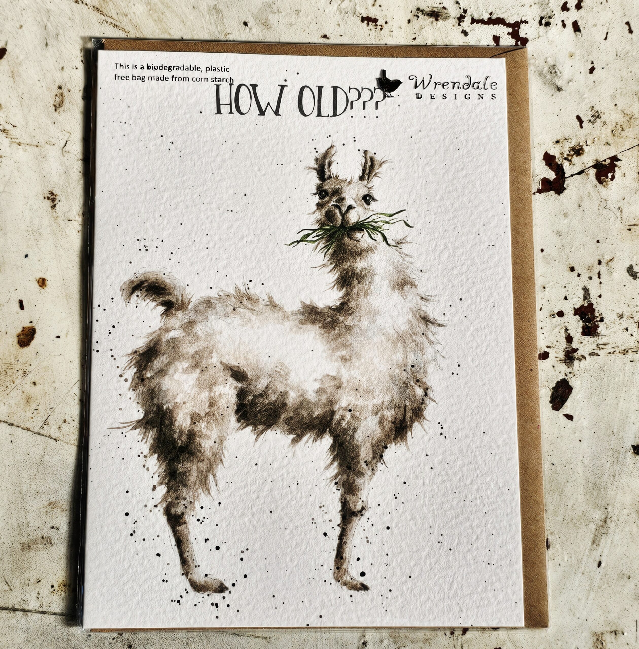 Greeting Card - How Old Llama - Campbells Online Store